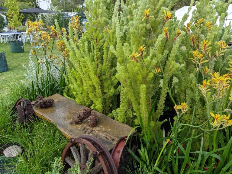 Perth Garden Show and Green Living Expo – WA's only premier outdoor ...