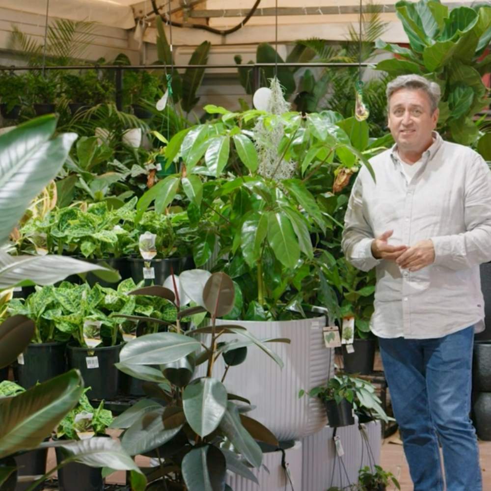 Garden Gurus Show Garden – Perth Garden Show and Green Living Expo